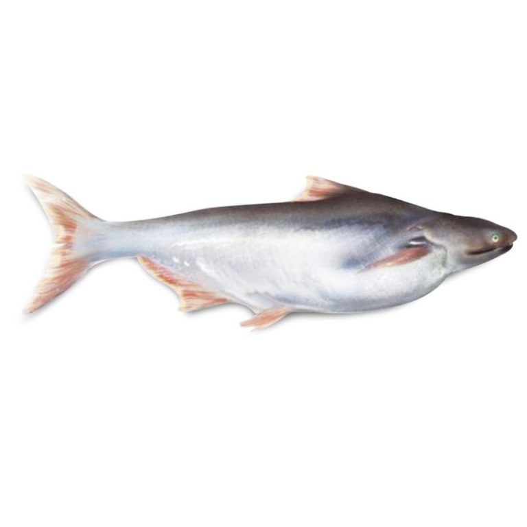 Ocean Sea Premium Seafood – Dong Sing Food Link